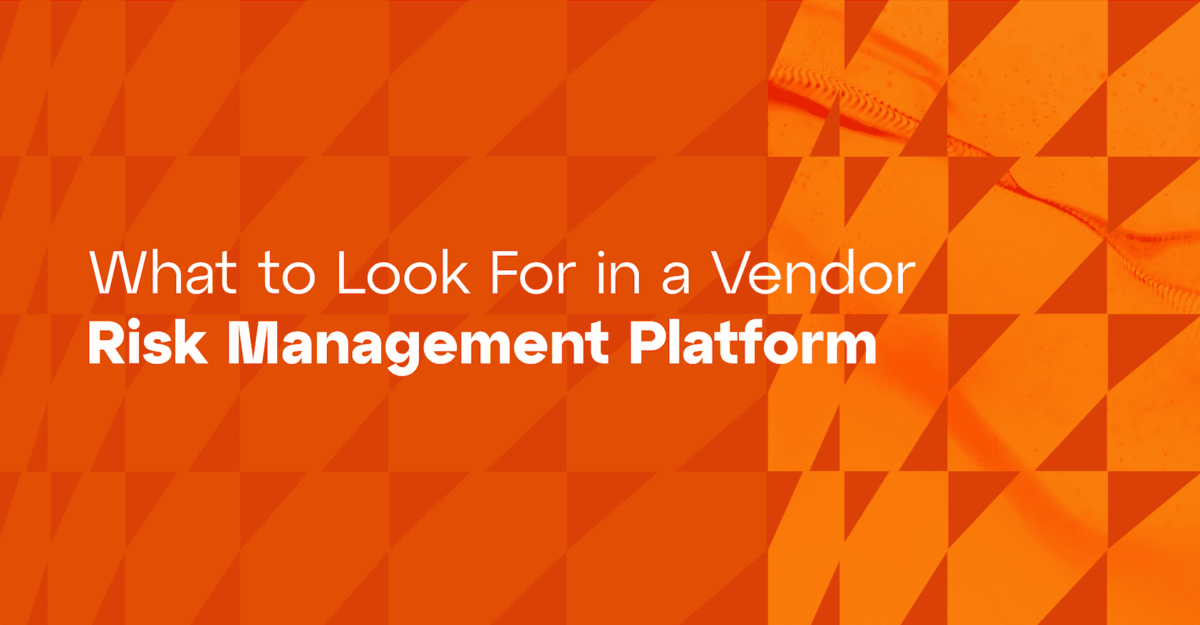 What to Look For in a Vendor Risk Management Platform | Perimeter